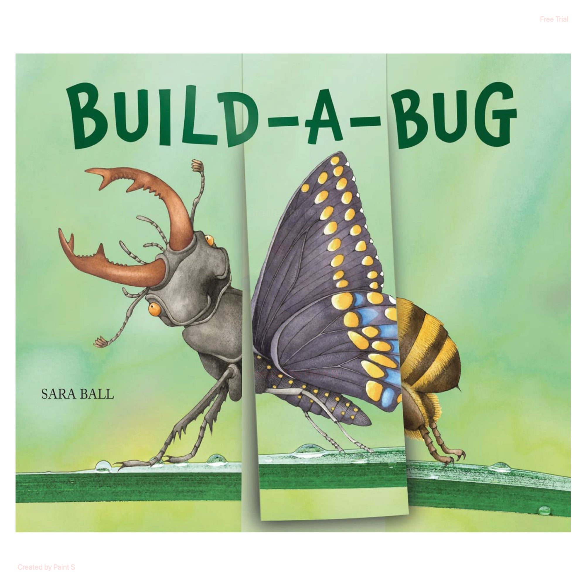 Build-a-Bug | STUFF DESIGN